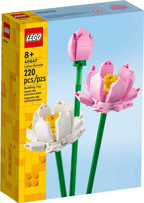 LEGO Icons & Ideas | Haypley